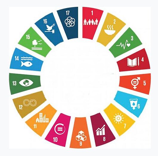 ODD - Les objectifs de développement durable | Plan International Suisse